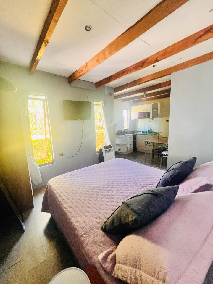 Loft Apartment. - Angol