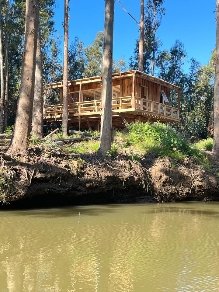Bahía Las Garzas- Bosque-río 15 Min Del Mar - Constitución