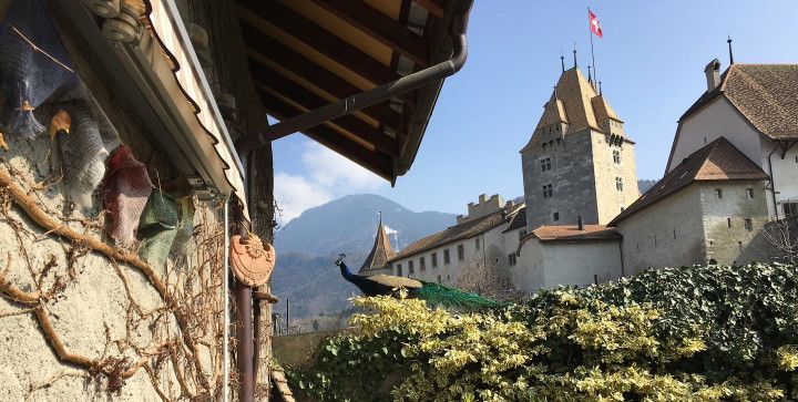 Votre Cocon Sous Les Toits ! - Leysin
