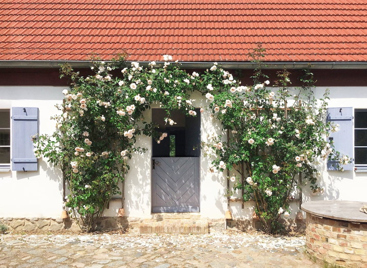 Cottage Karolinenhof, Secluded Location By The Lake - Germany