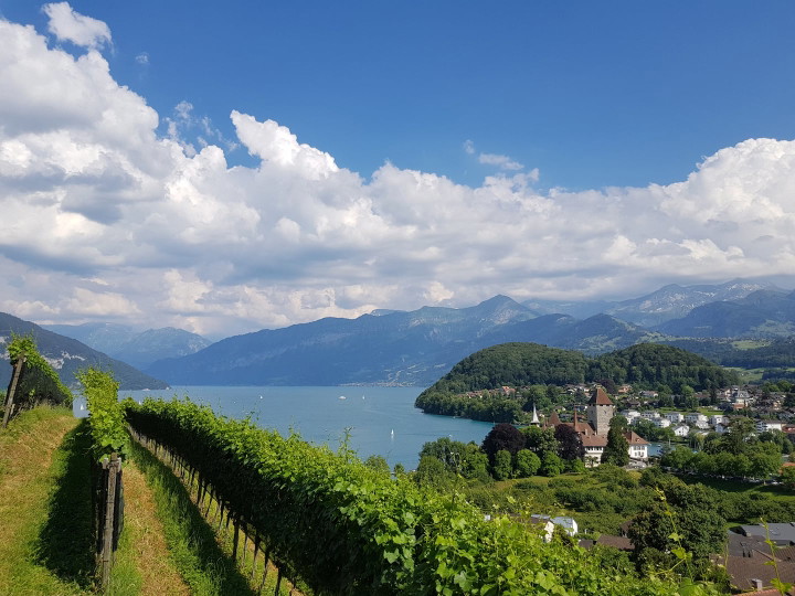 Fantastic Apartment On The Vineyard With Lake View 128m2 - Spiez