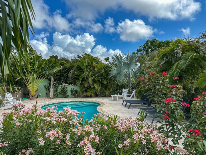 Pinot Grigio Apartment At Casa Uva Verde - Curaçao