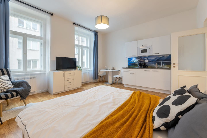 Minimalist Quiet Apartment In The Heart Of Prague - Prague