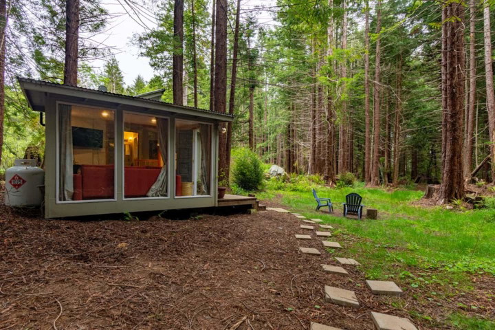 Bungalow In The Redwoods - Trinidad