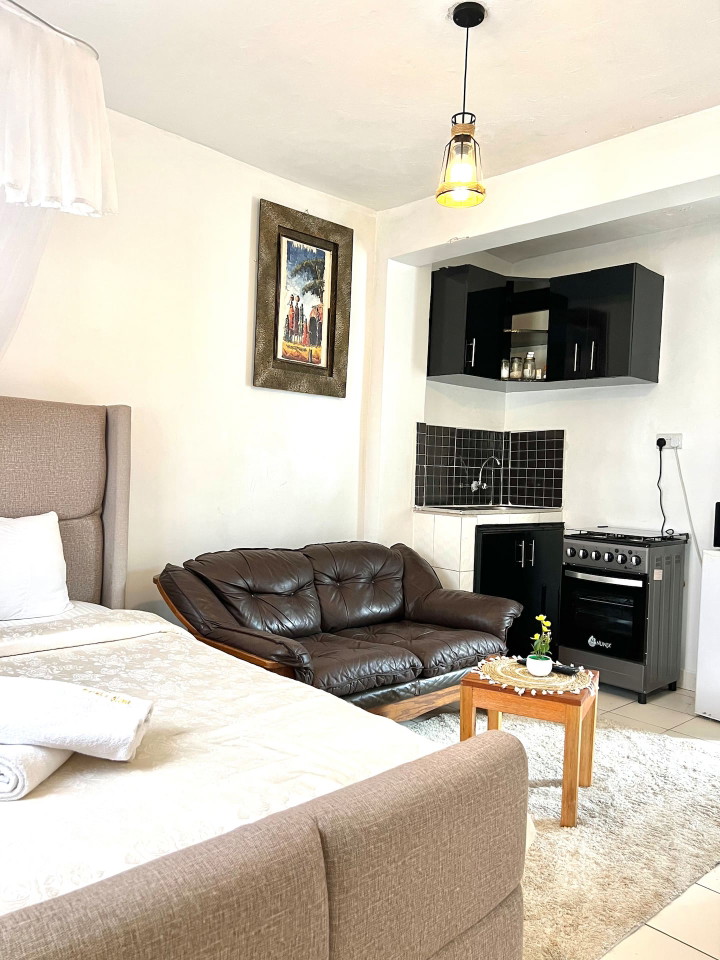 Spacious Studio Milimani - Parking, Wifi0727955283 - Kisumu