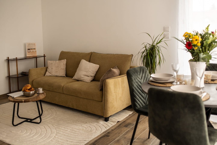 Duplex Indépendant Centre Olivet - Olivet