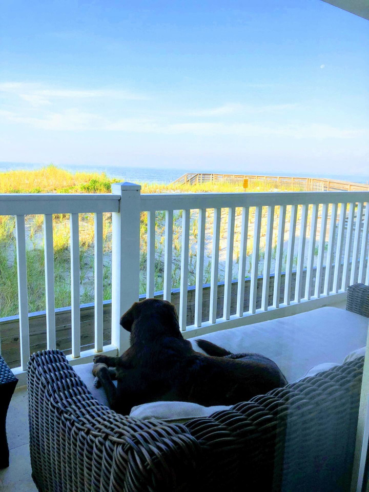 Spectacular 2 Story Oceanfront - Long Beach, NY