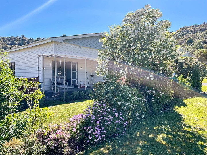 The Ugly Duckling - Reefton