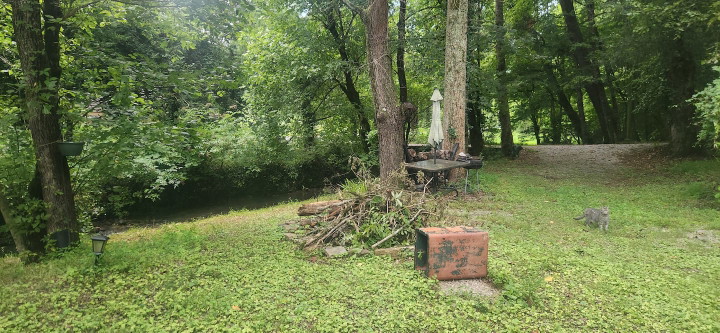 Primitive Camping Spot - Knoxville, TN