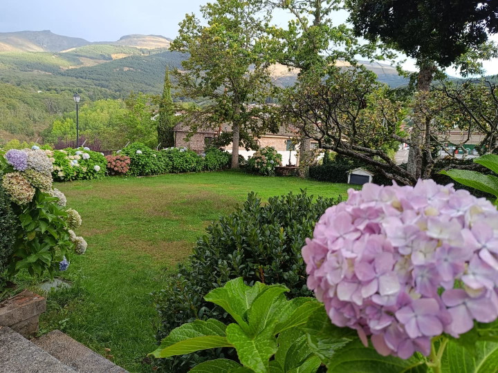La Casa De Las Hortensias - Béjar