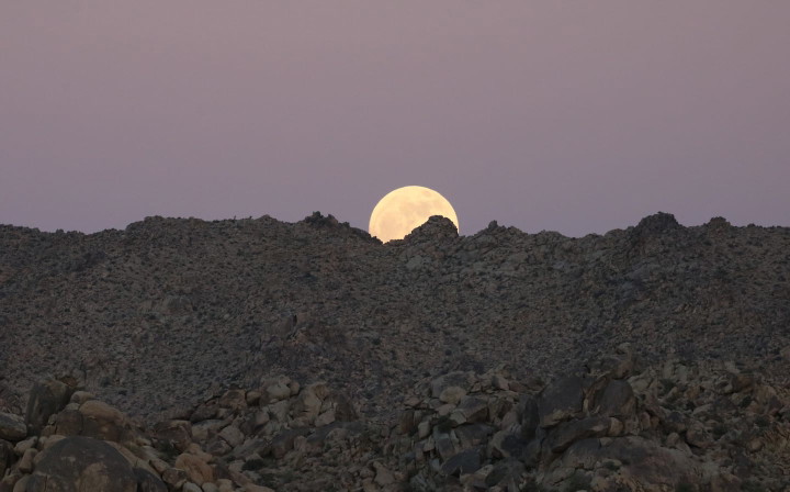 Joshua Tree Adu With Stars Boulders Amazing Views - Joshua Tree, CA
