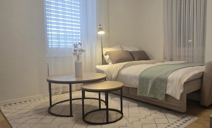 Cherry Blossom Apartments - Aarau