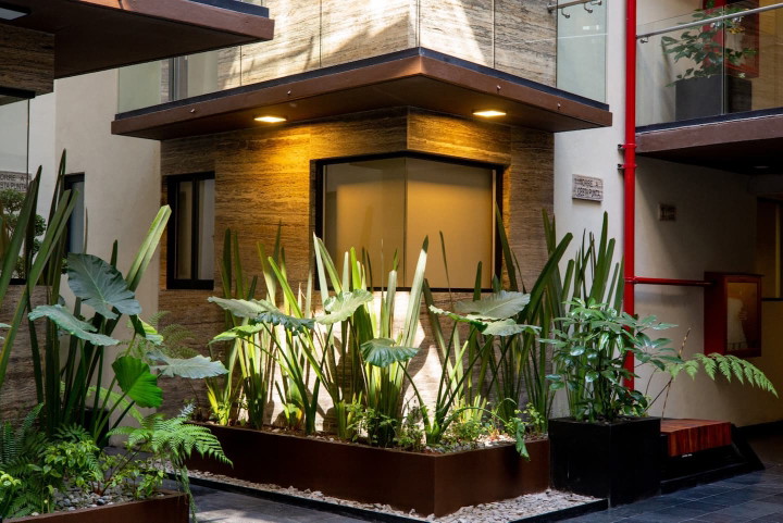 Condesa Luxury Apartment - Mexico City