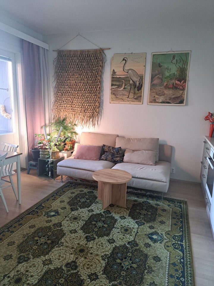 Cozy Sauna Two-bedroom Apartment In The City Center. - Joensuu