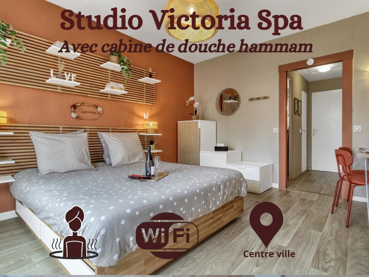 Studio Victoria Spa Hyper Centre - Le Bourget-du-Lac
