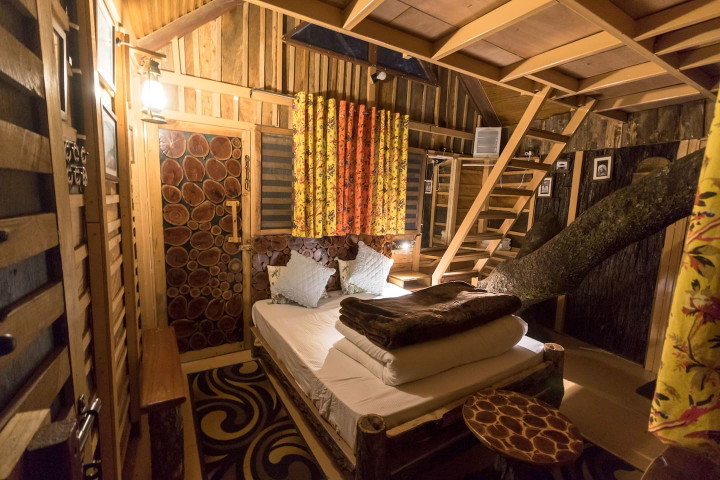Tree House - 
