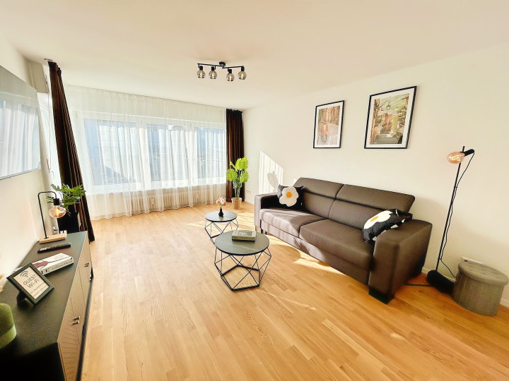 Basilisk Homes - In Grenzach Wyhlen Near Basel - Grenzach-Wyhlen