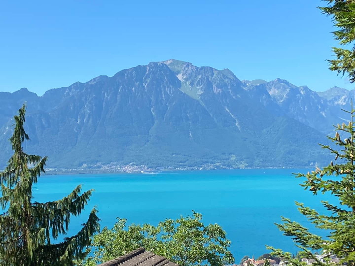 Free Trains And 50% Off Local Attractions! - Vevey