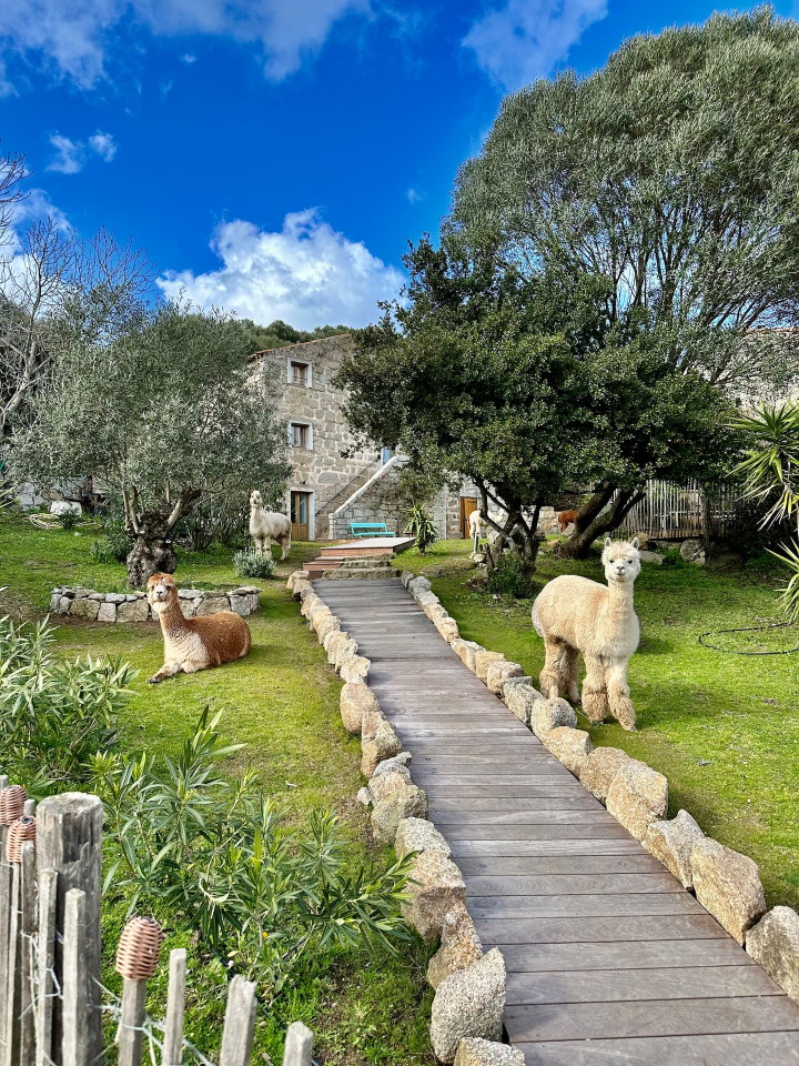 Authentic Corsican Villa And Private Pool - Figari
