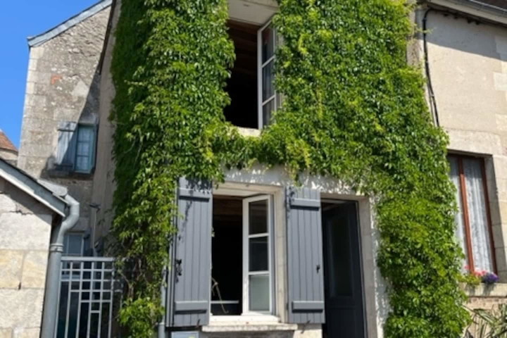 La Petite Vigne - Sancerre
