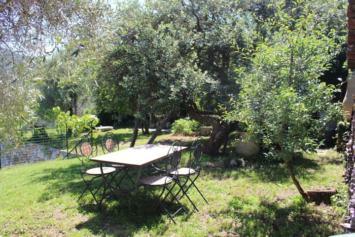 The Scent Of Olive Trees - Cod. Citra 009064-lt-0004 - Noli