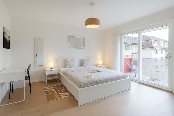 The Classy Minimalist Lakefront - Lausanne