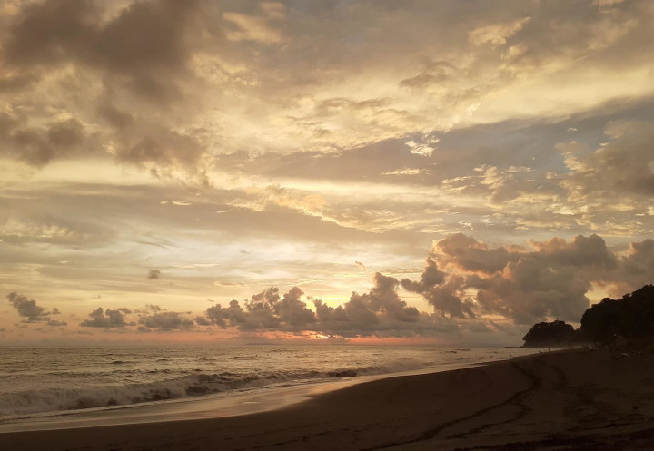 Tropical For Two - Costa Rica