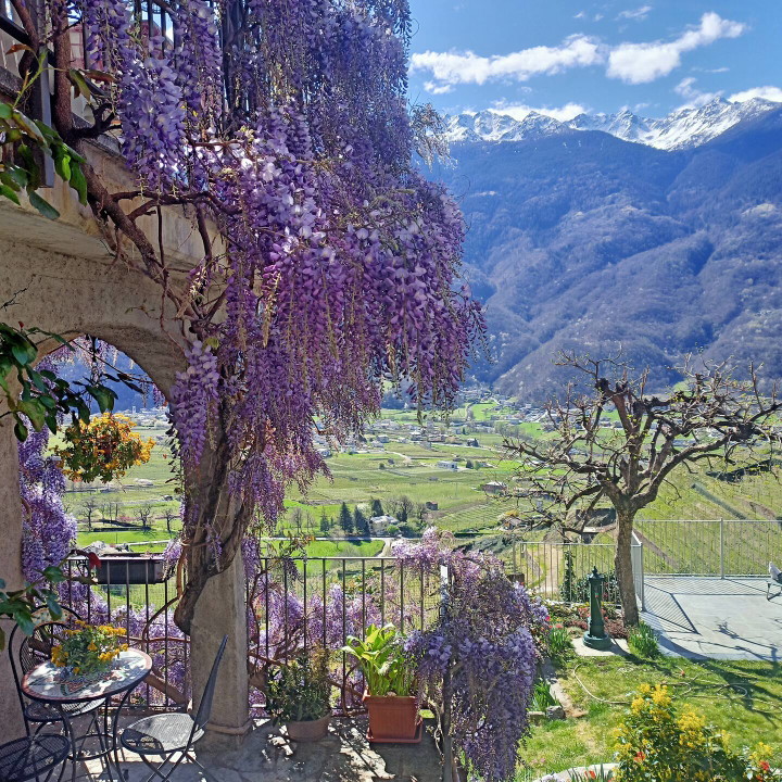 Casa Il Glicine Valtellina, Paradise In The Vineyards - Sondrio
