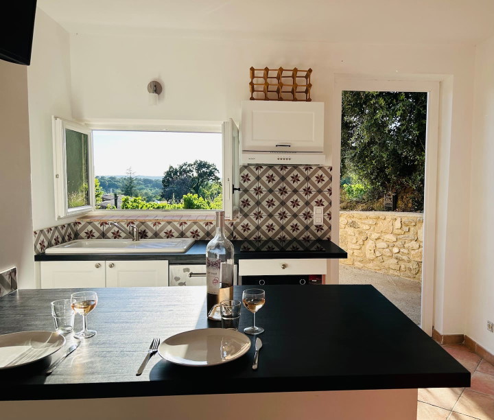 Cottage Overlooking The Vineyards - Pertuis