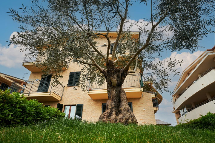 The Ladybug - Porto Sant'Elpidio