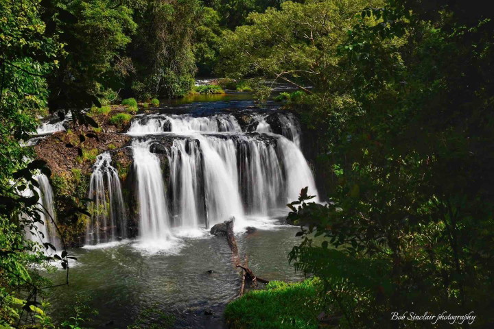 Tablelands Tranquil Retreat - Malanda