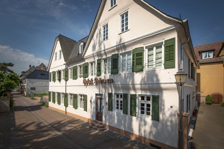 Vacations In The Rheingau Monument Near The Beach - Hotel Schwan - Mainz