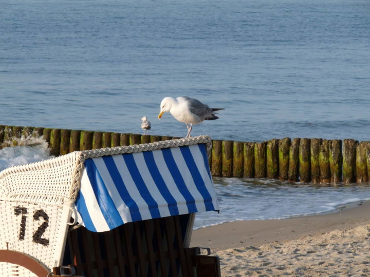 Ferienwohnung Skipper, Strandnah Mit Whirlpool - Boltenhagen
