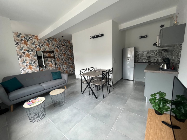 Logement Climatisé Dans Maison De Ville 2 Chambres - Groupama Stadium - OL