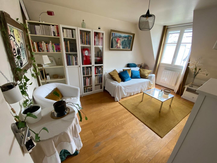 Appartement Le Louis Xi Duplex 4 Personnes+parking - Orléans