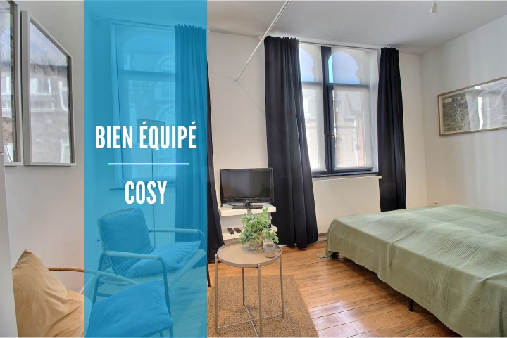 Le Studio Du Laveu - Charmant Studio éQuipé - Herstal