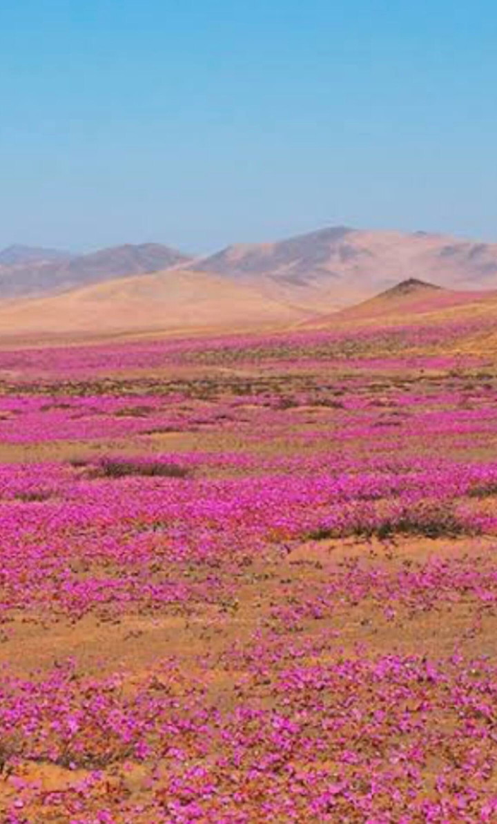 Casa Con Piscinas A 30 Minutos Desierto Florido -
