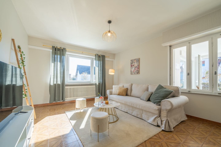 La Maison Royale - Terrasse Et Jardin - 9 Pers - Haguenau