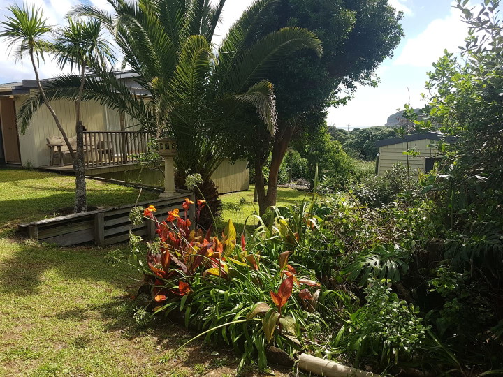 Bethells Magical Retreat! Stunning Location! - Auckland