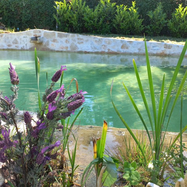 Monreal Pt
Natural Village
Panoramic Pool - Fátima
