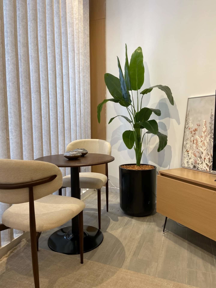 Apartamento 2 - Angola