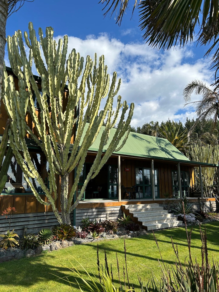 Papamoa Hills Cacti Guest House - Papamoa