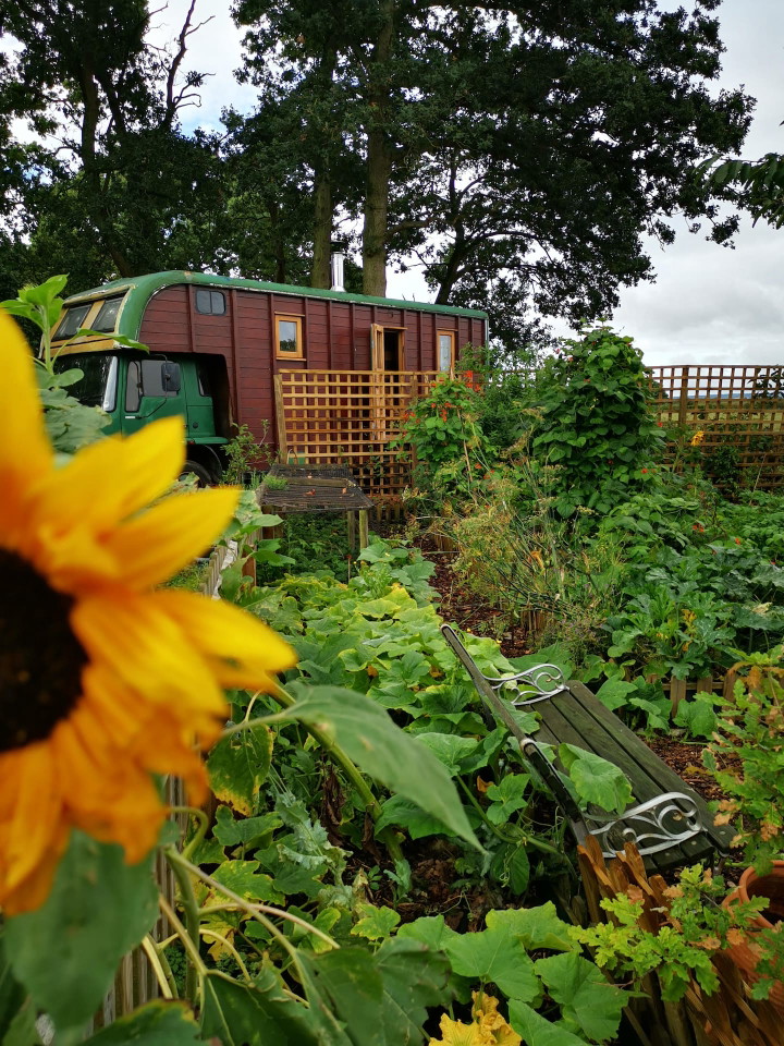 Bedford Horsebox Tiny House - Wallingford