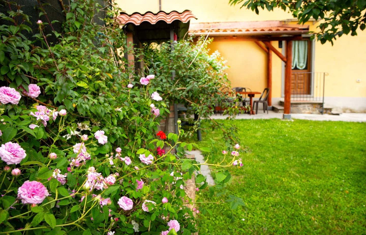 Casa Rustica, Cembroni, San Cassiano 55022 + Pool - Abetone