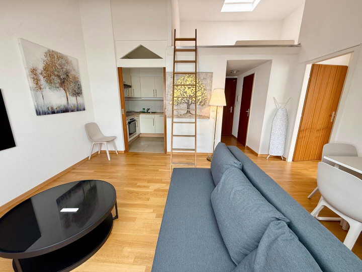 M3 Great New Apart Geneva Center Lake Jet Deau - Ginebra