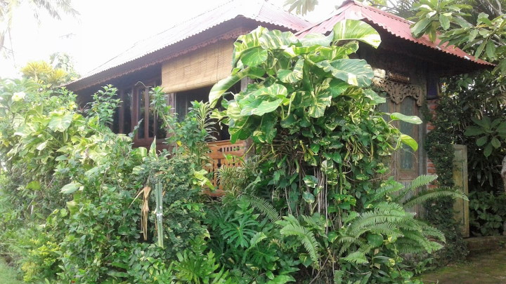 Best Surf View Bungalow In Balian Beach - Bali
