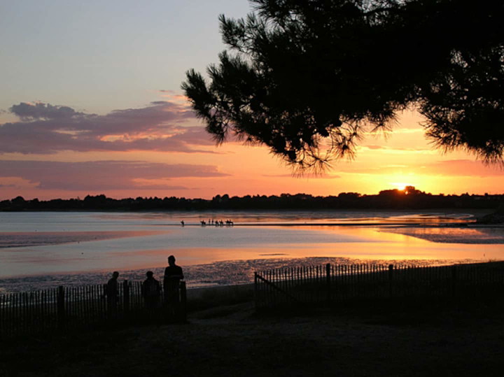 Domaine Des Palmiers Kerandel :Vacances à La Mer - Mesquer
