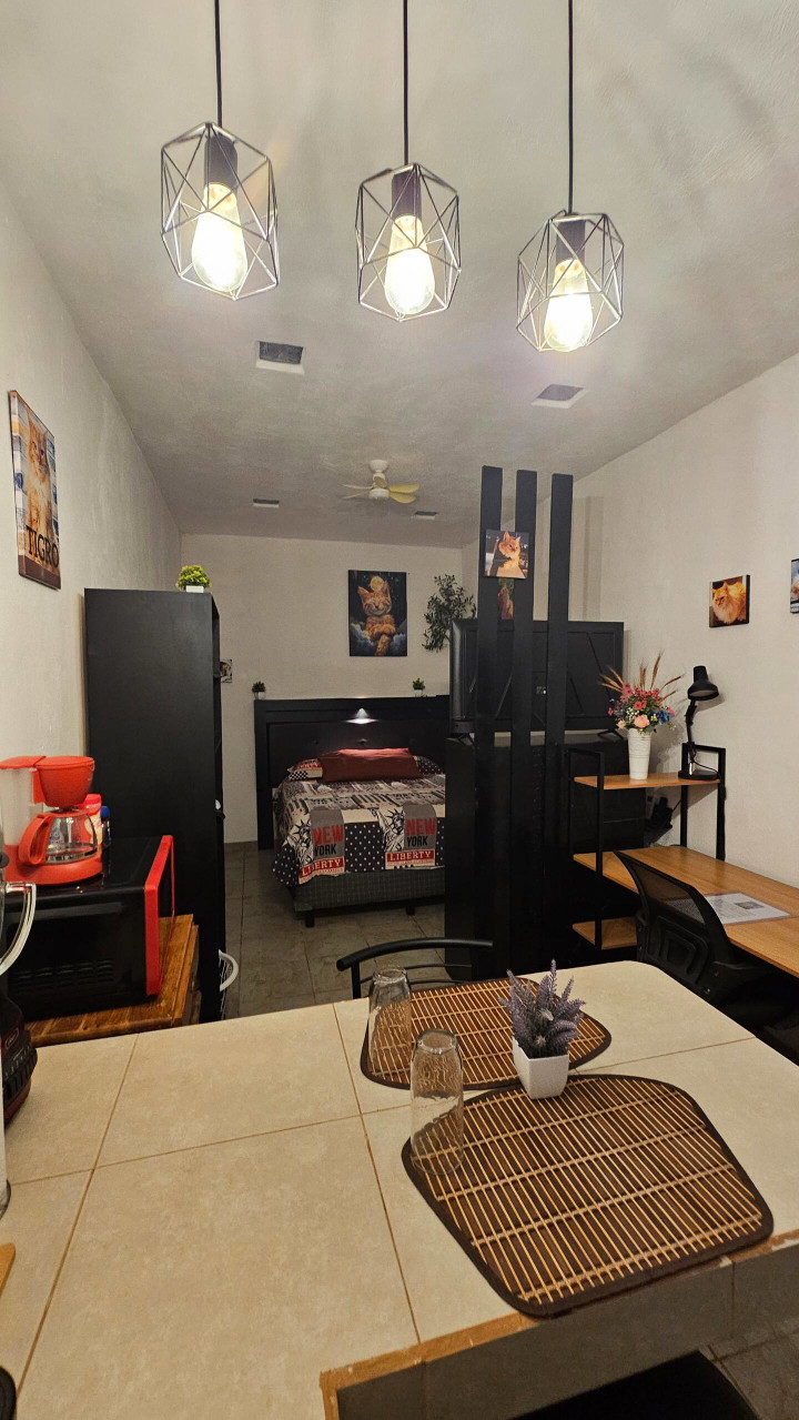 "Tigro" Estudio Privado, Seguro Y Alimentos. - Nuevo Laredo