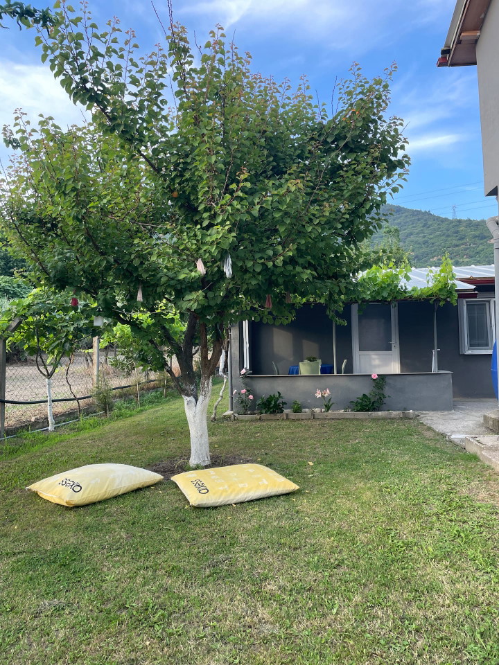 No: 3 - Erdek