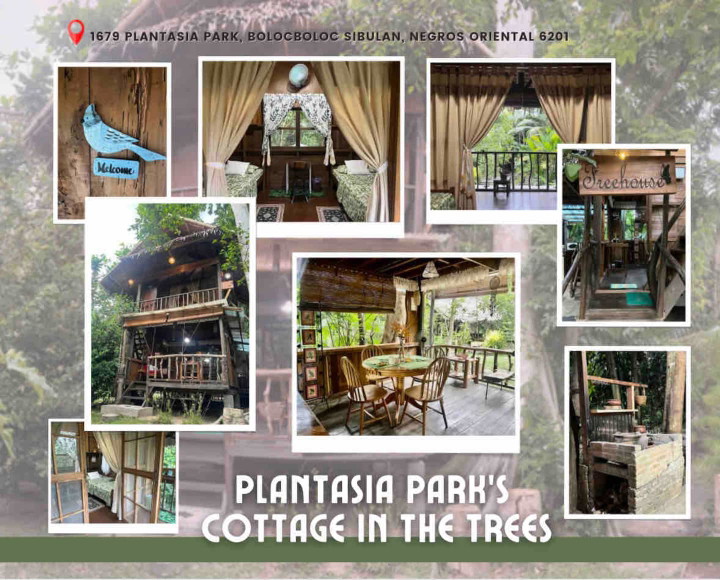 Plantasia Parks Cottage In The Trees - Sibulan